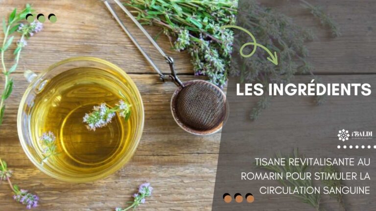 Tisane au Romarin pour Favoriser la Circulation Sanguine - iBaldi