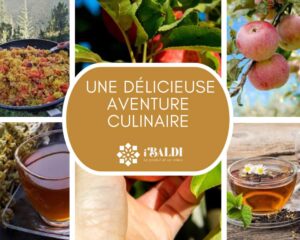 Midelt : carrefour des montagnes et des plaines - iBaldi